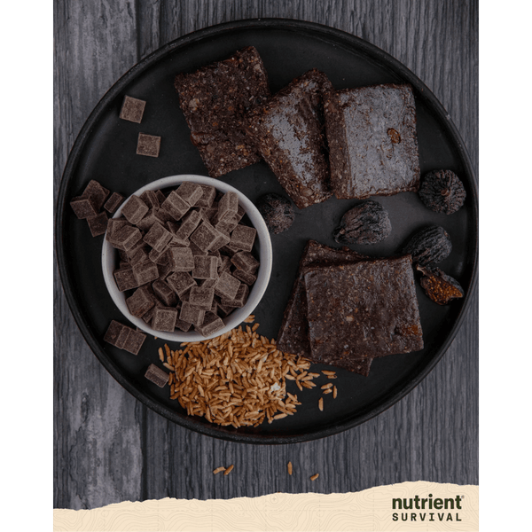 Nutrient Survival - Brain Omega 3 Bar - Fig and Dark Chocolate Pack of - Wild Oak Trail