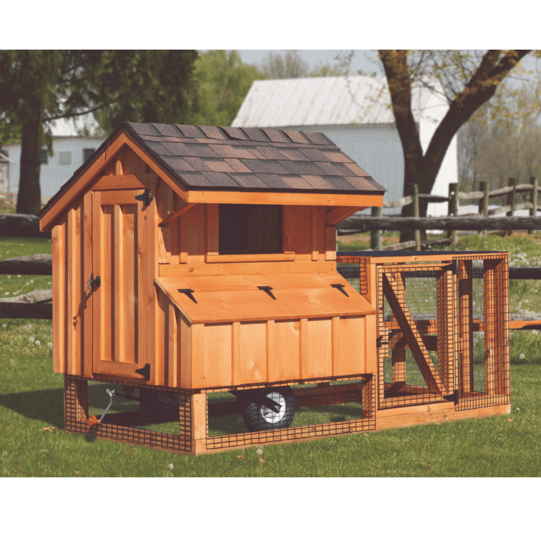 3x4 Chicken Coop for up to 6 Chickens | The Hen House Collection Q34T ...