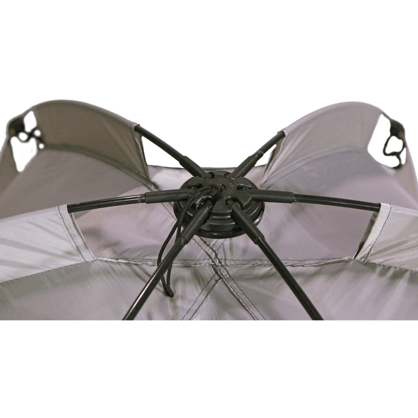 Catoma Falcon | Wild Oak Trail